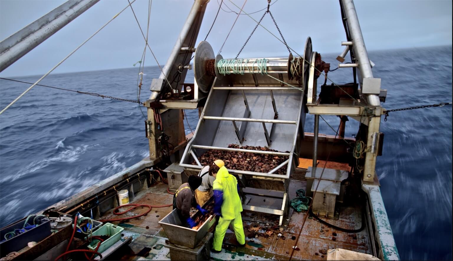 Red Feet - Séries Mania Institute